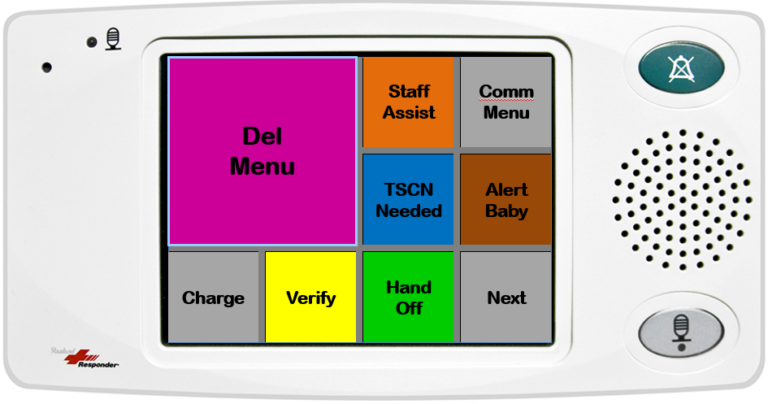 Rauland Nurse Call - Primary Systems